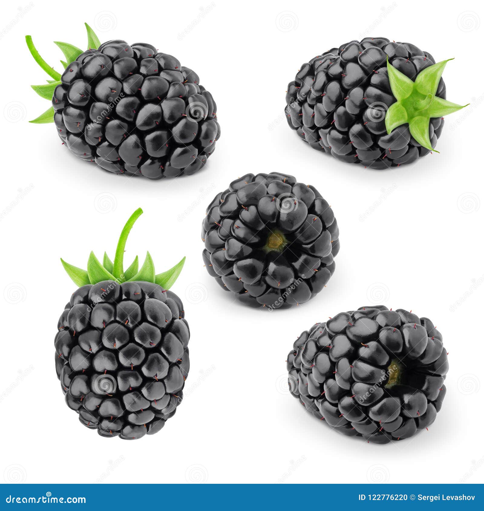 Set of Blackberries Isolated on a White. Stock Photo - Image of ...