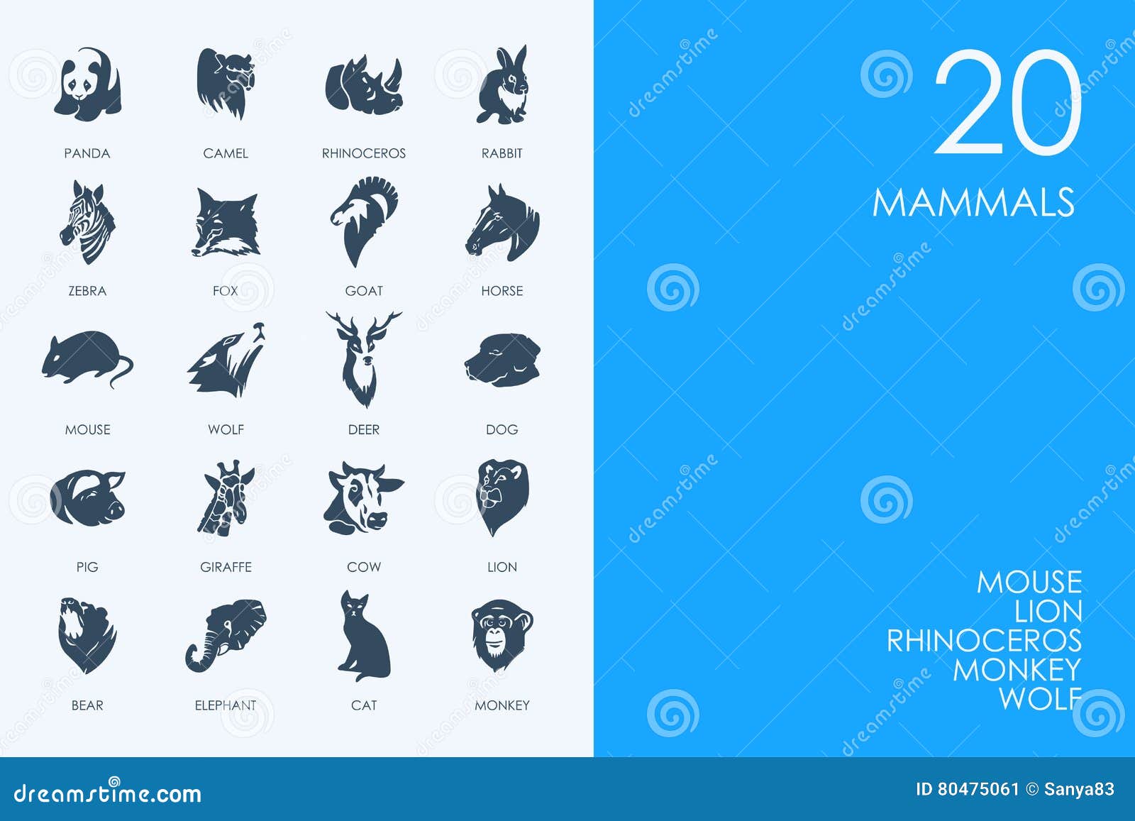 Mammals Vector Collection | CartoonDealer.com #114791363