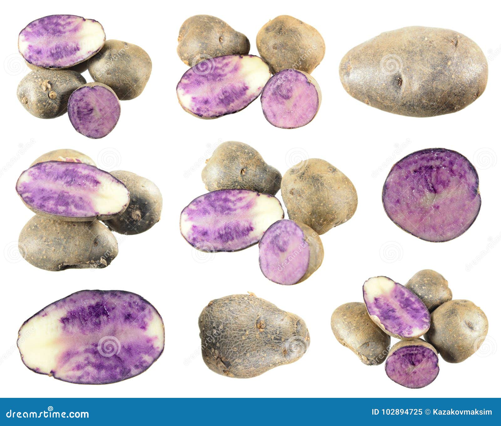 Set of Blue Potatoes Isolated on White Stock Image - Image of plant ...