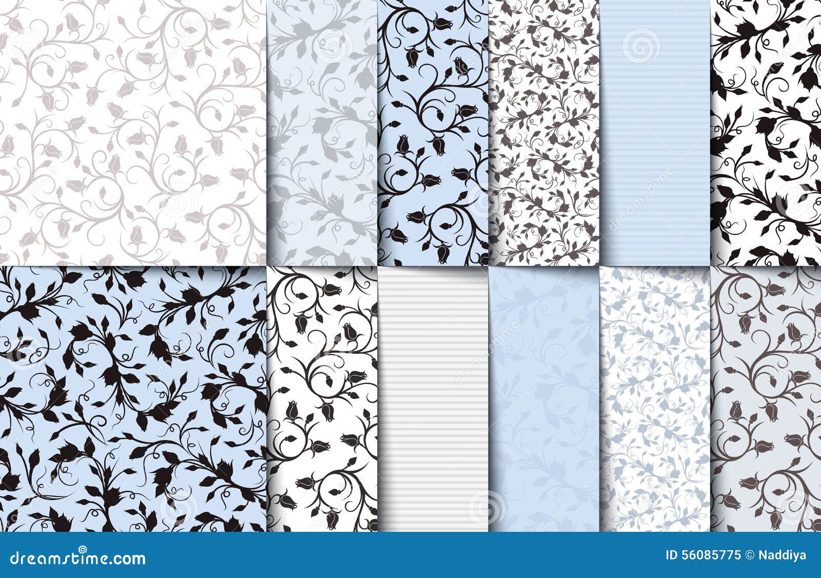 Floral Patterns Around Edges. Animation. Beautiful Animated Background ...