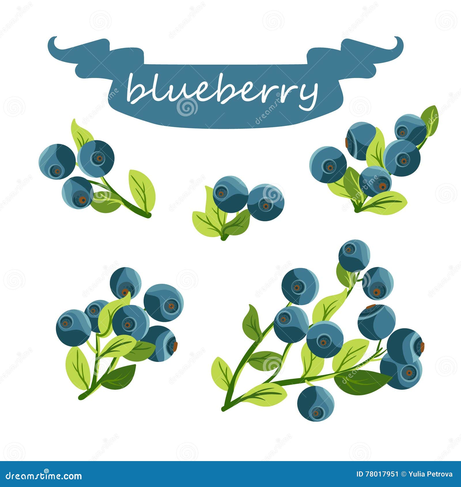 Set of Blueberry Composition. Stock Vector - Illustration of clipart ...