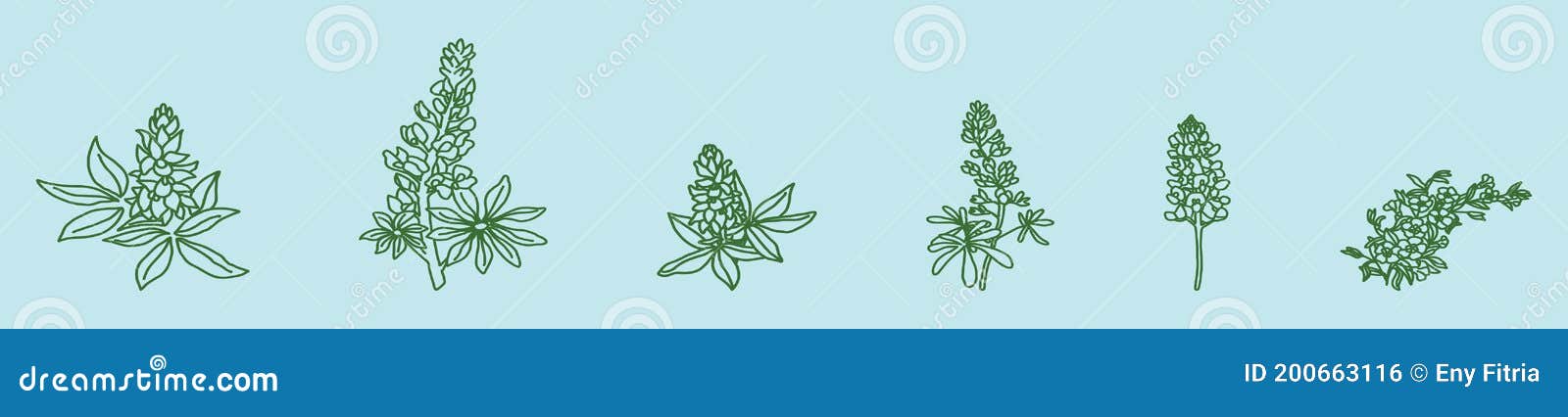 Set of Bluebonnet Cartoon Icon Design Template with Various Models ...