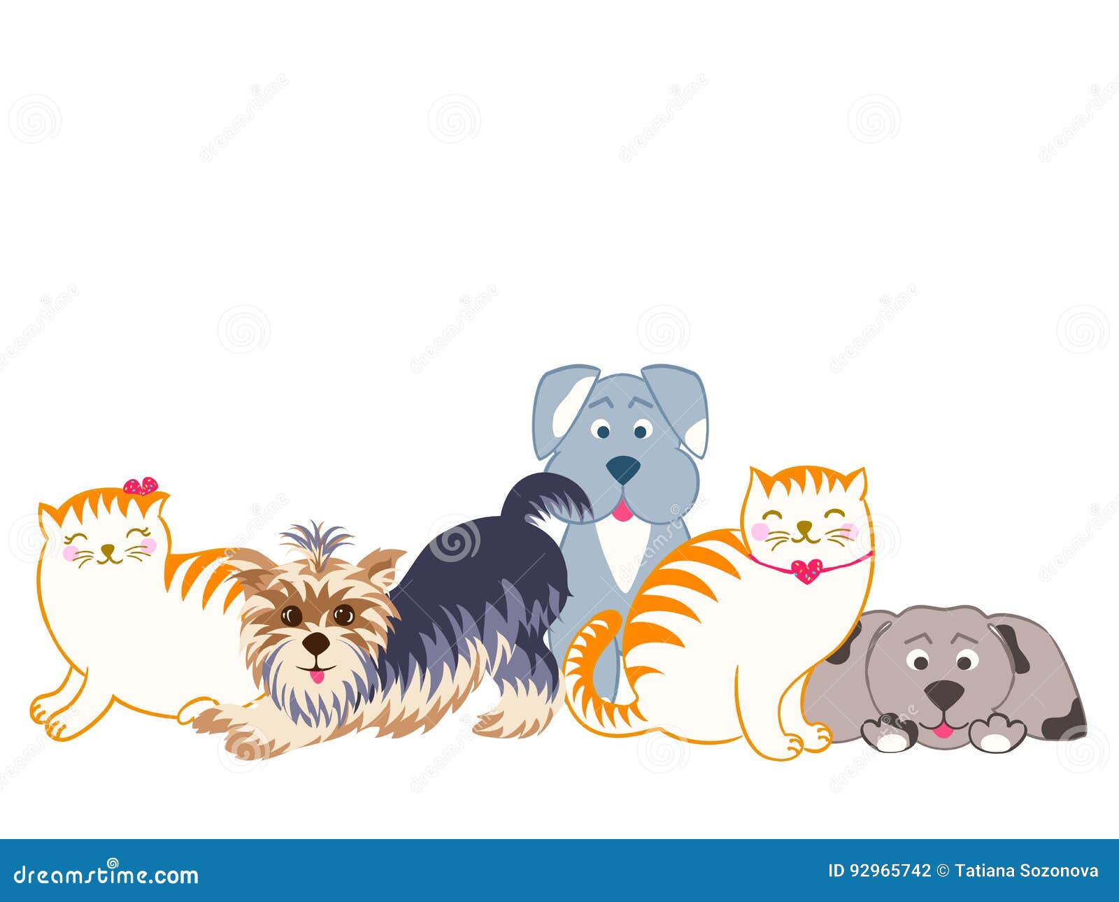 Cat And Dog Border