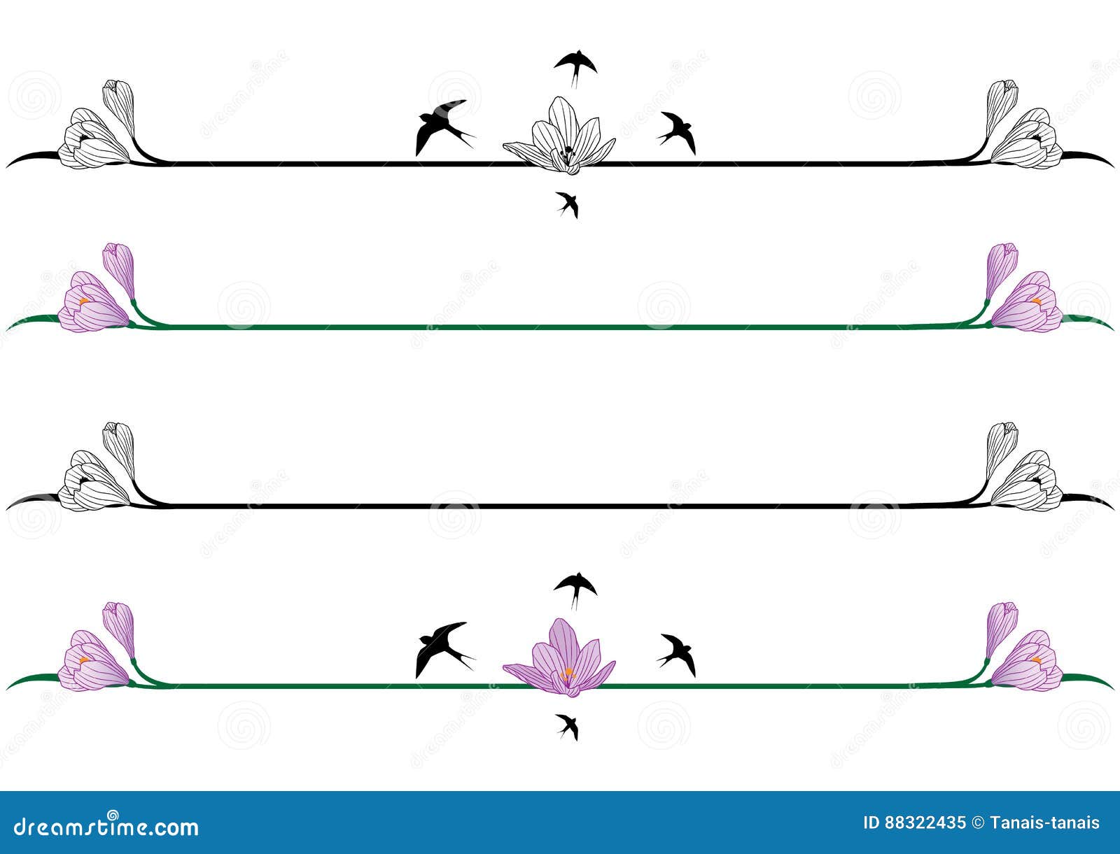 Set of Borders with Crocuses Stock Vector - Illustration of clip ...