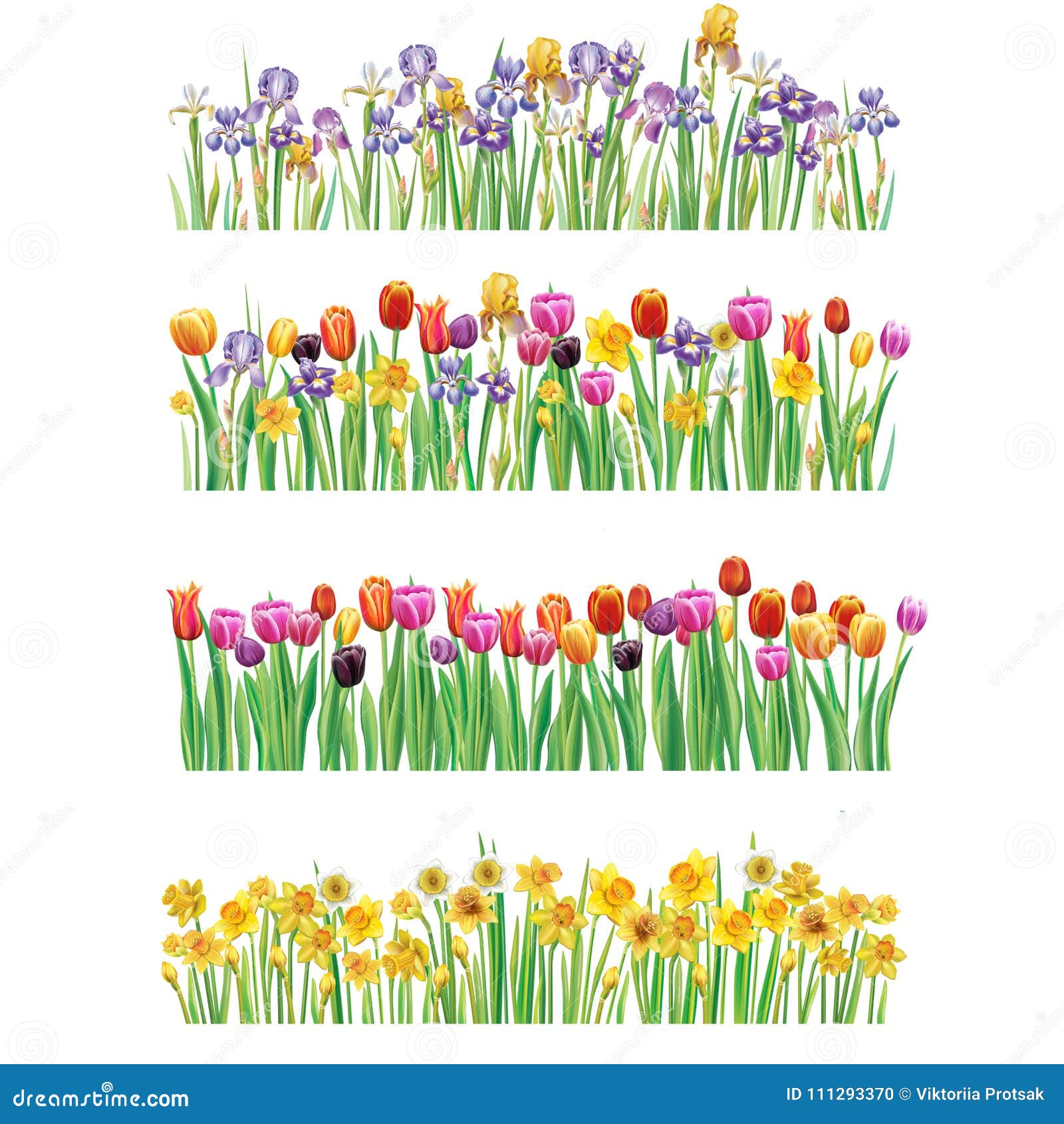 Set of Borders with Multicolor Spring Flowers Stock Vector ...