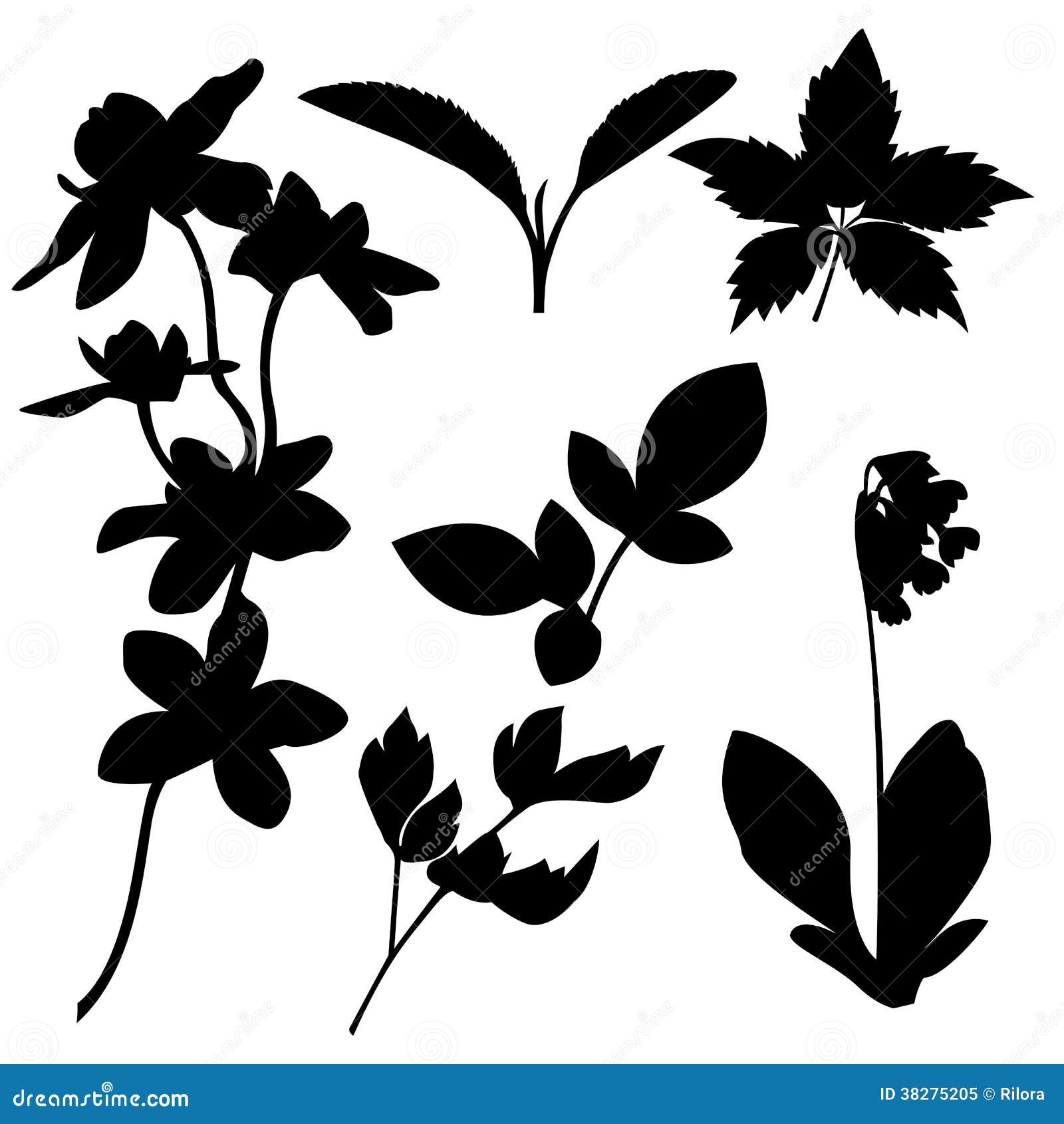 Set of Botanical Silhouettes. Vector Stock Vector - Illustration of ...