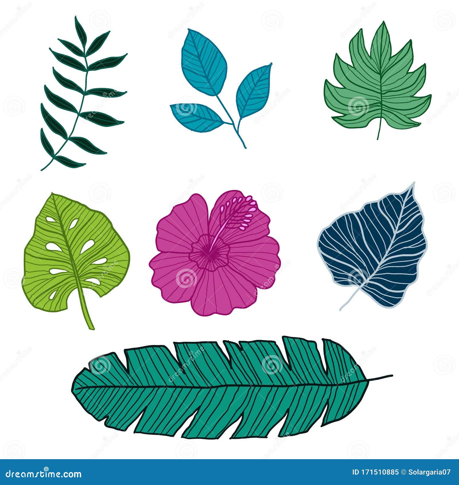 Set of Botanical Vector Illustrations, Vector Illustration Stock Vector ...