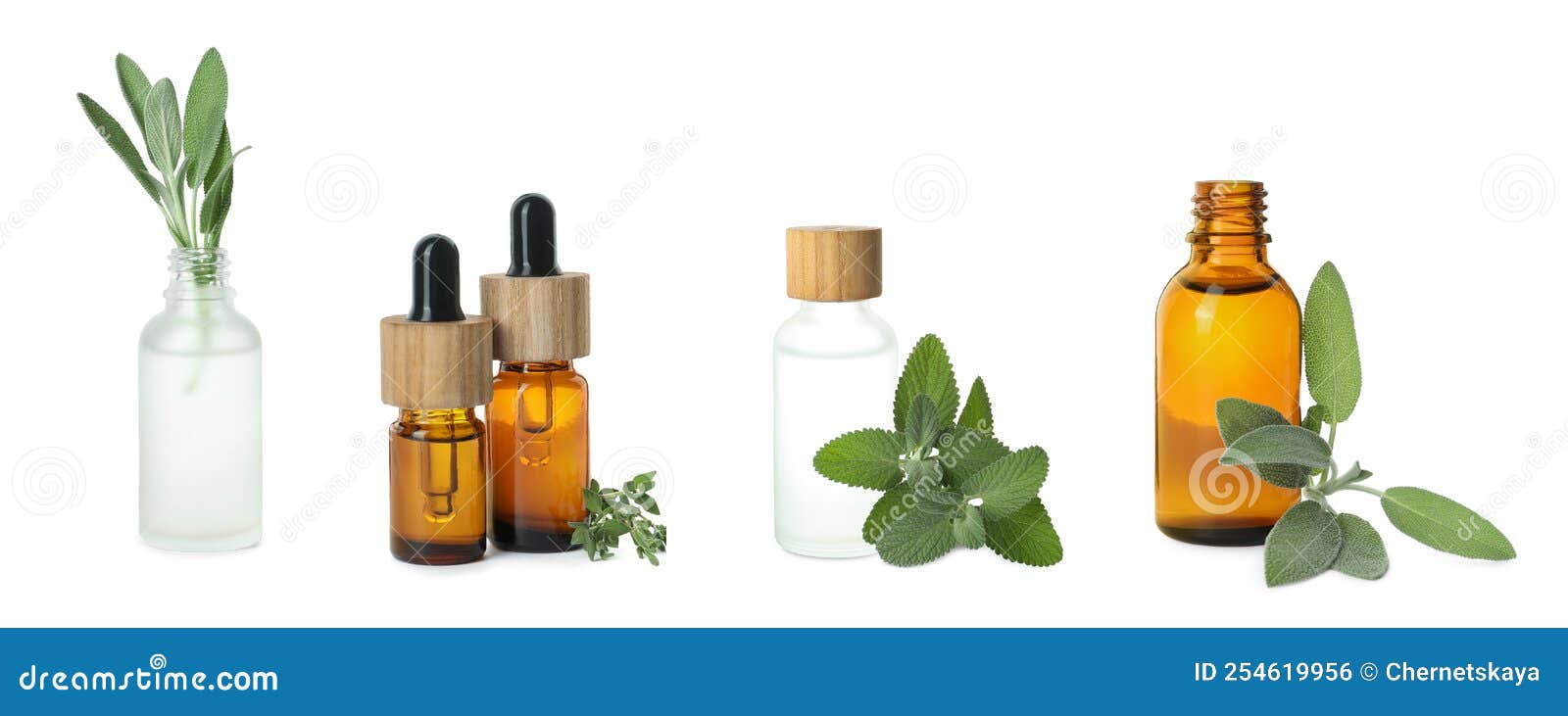 Set with Bottles of Different Essential Oils and Leaves on White ...
