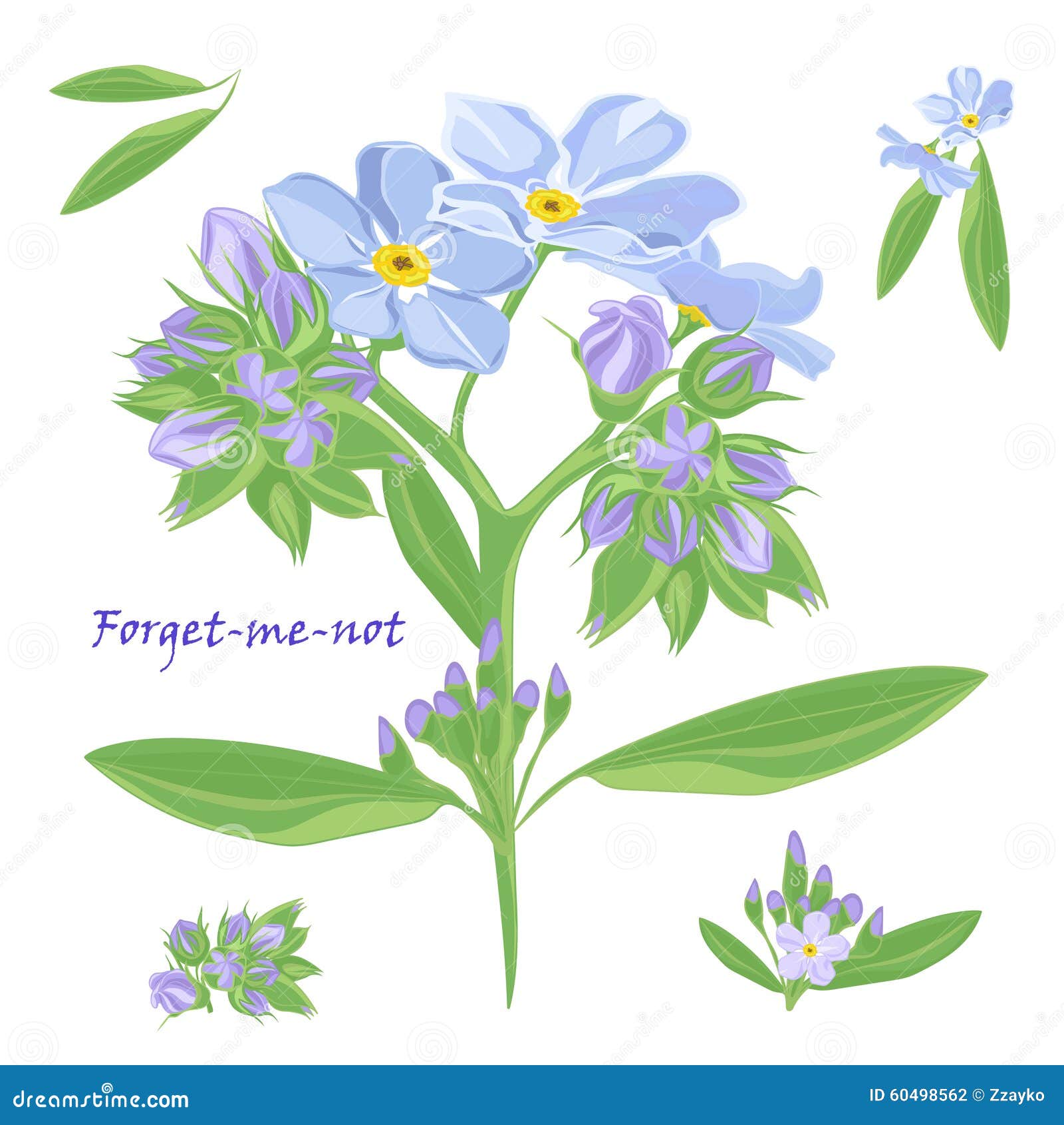 Forget Me Not Flowers Line Art Stock Illustrations – 79 Forget Me Not ...
