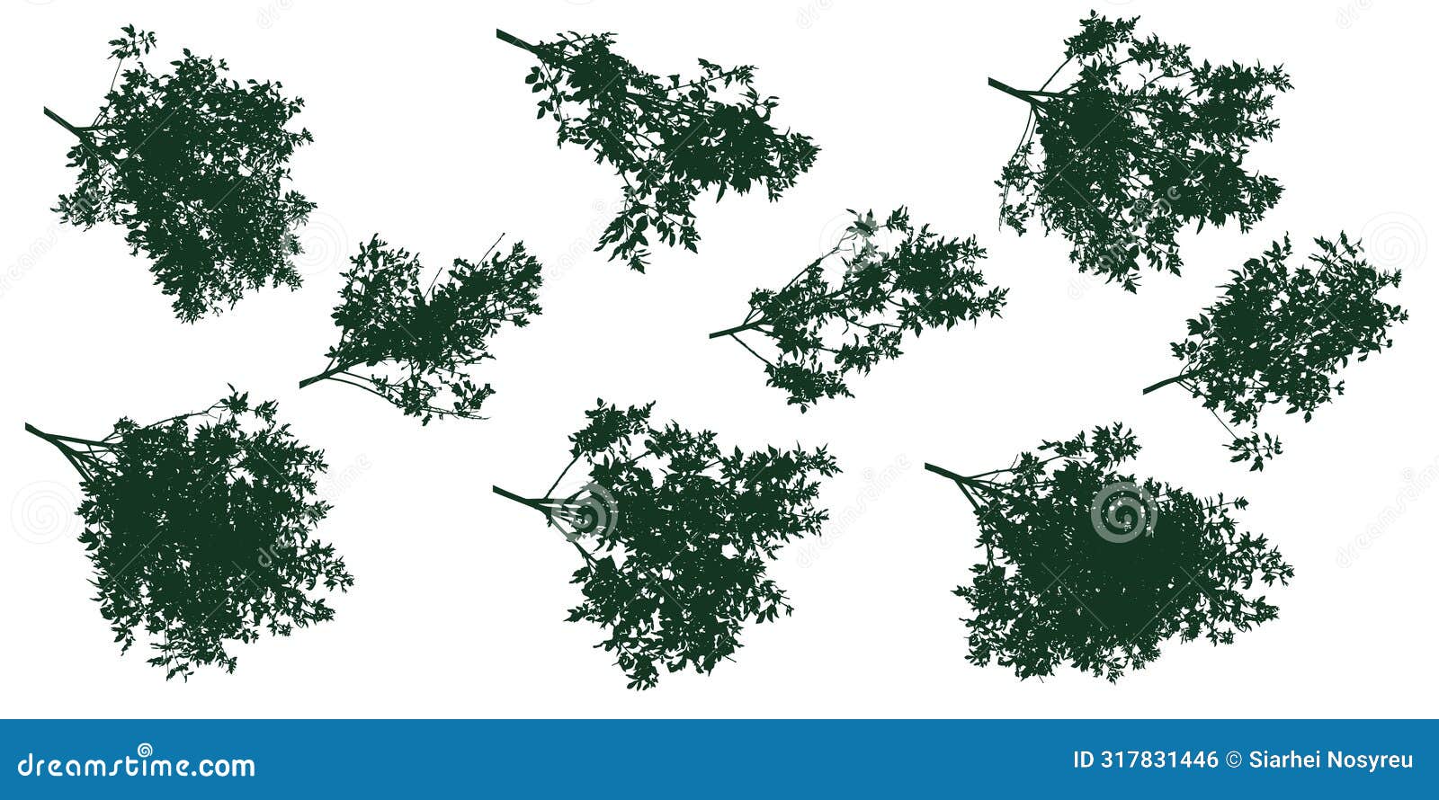 Set of Branches Deciduous Ash Tree, Silhouette. Vector Illustration ...