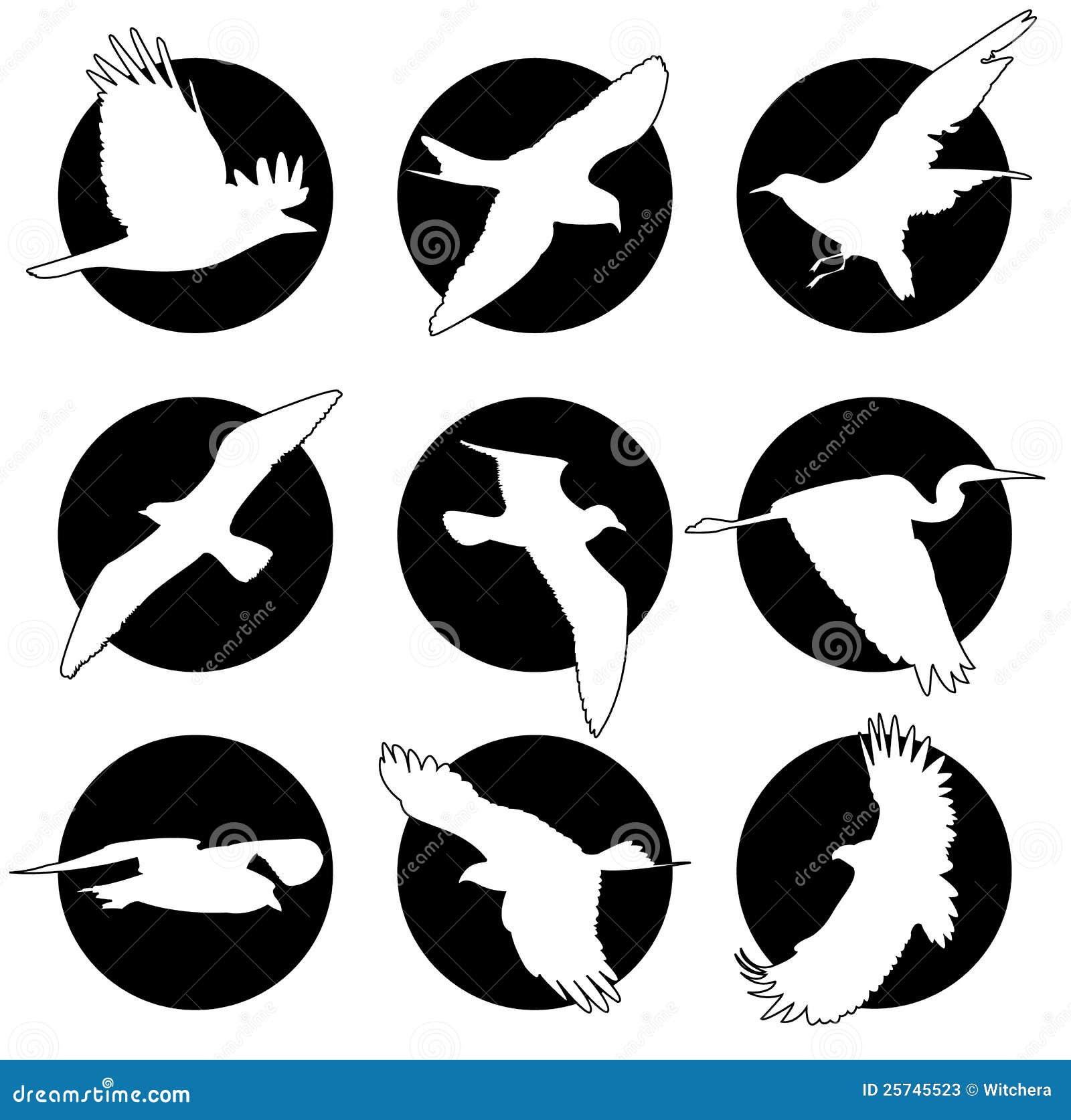 Logos Birds. Cartoon Vector | CartoonDealer.com #82134457