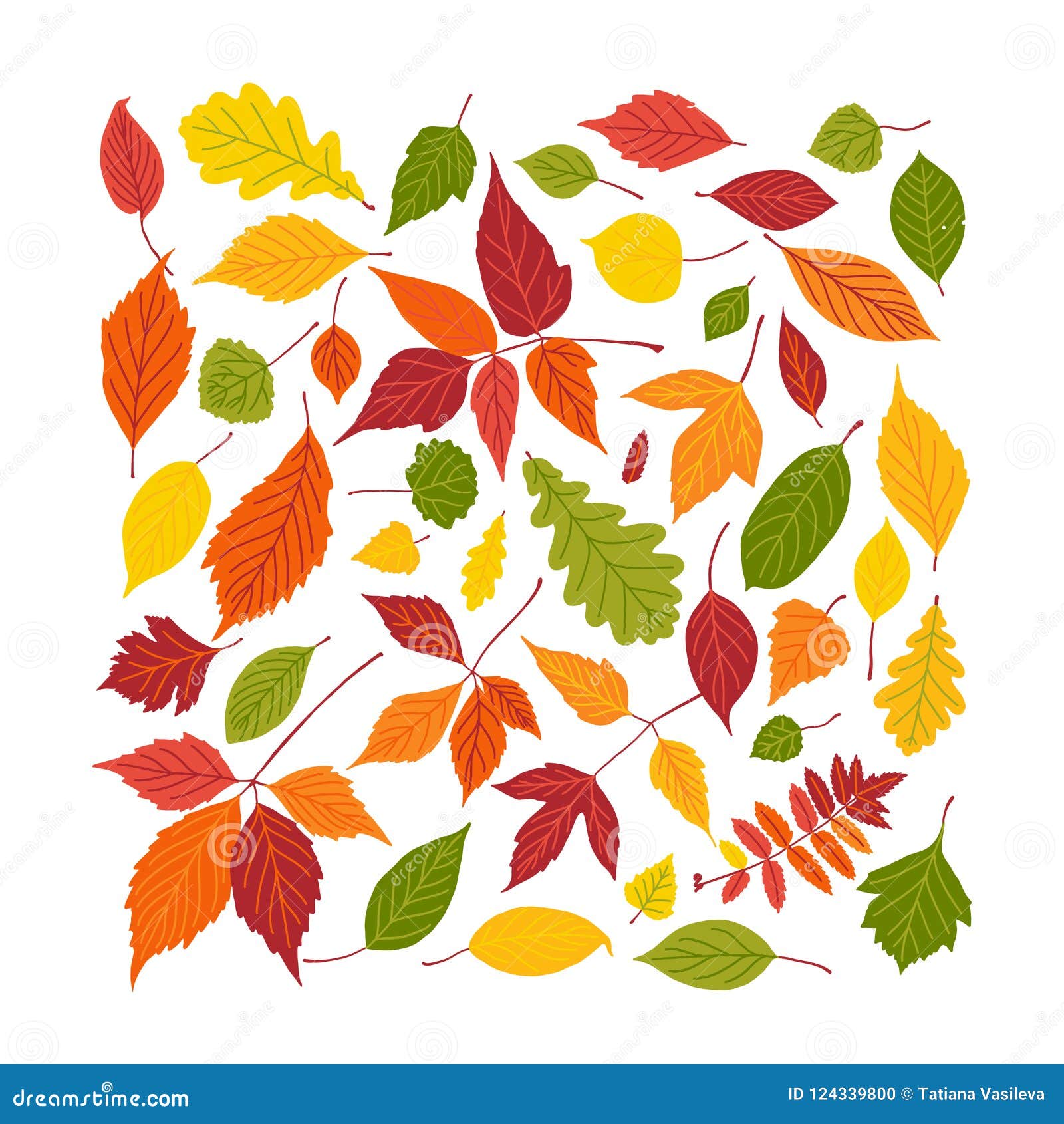 Set of Bright Autumn Leaves. Fall Leaf Square Fill Frame Isolated on ...