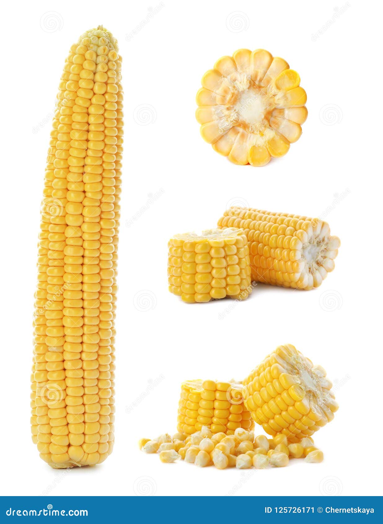 Broken Corn Stalk With Corn Cobs Surrounded With Dry Husks And Tall ... Broken Corn Stalk With Corn Cobs Surrounded With Dry Husks And Tall ...