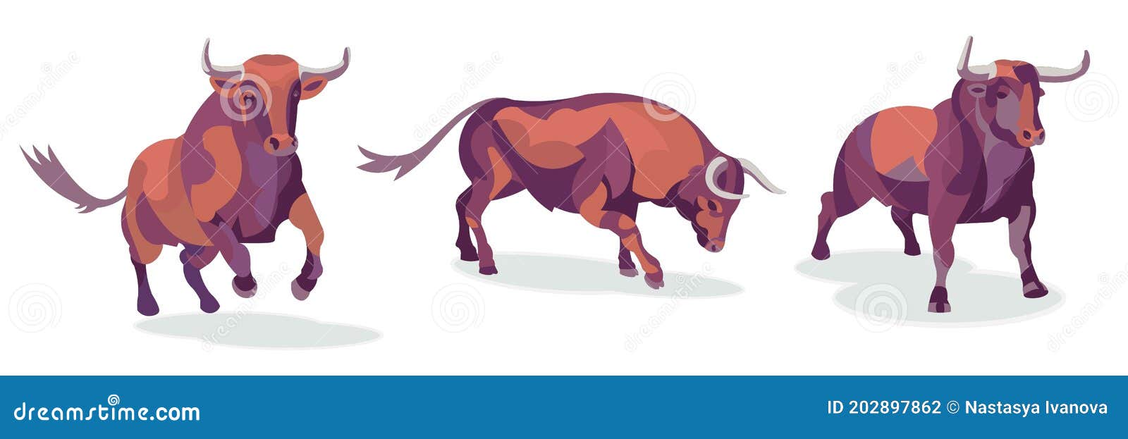 A Set of Bulls Standing in Different Poses. Vector Illustration Stock ...