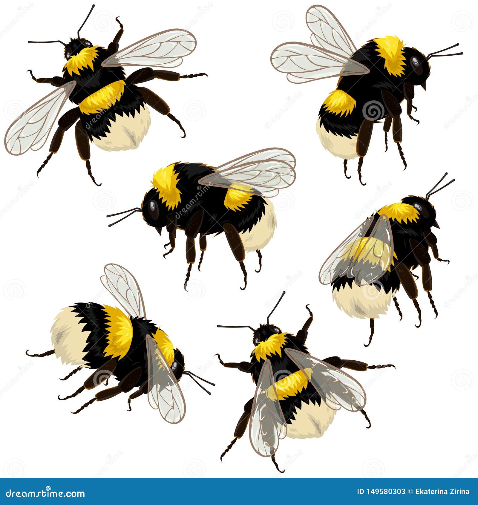 Set Of Bumblebees On A White Background. Watercolor Drawing. Insects ...
