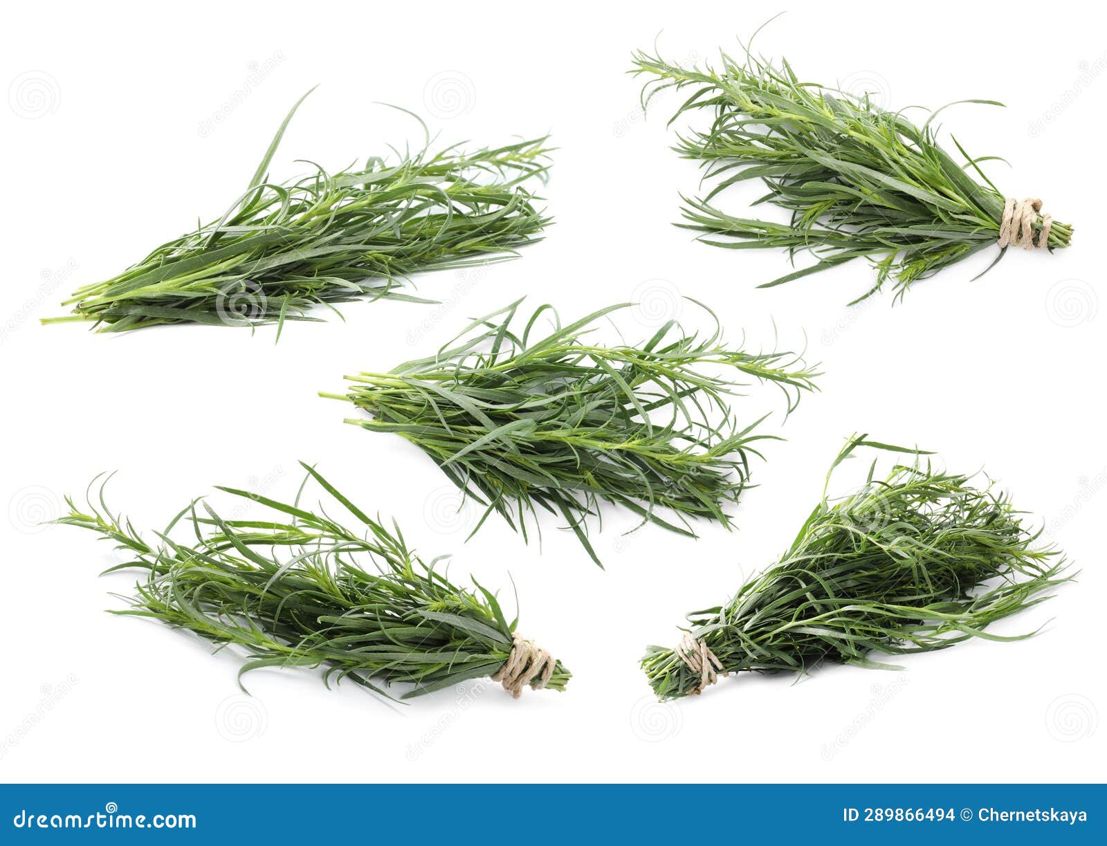 Set with Bunches of Green Tarragon Isolated on White Stock Photo ...