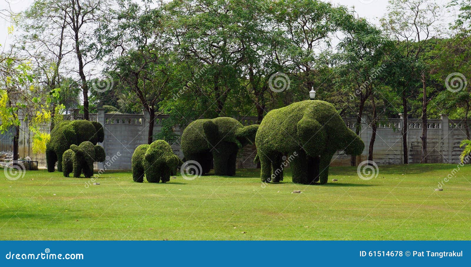 Set of Bush in Elephant Shaped Stock Photo - Image of natural ...