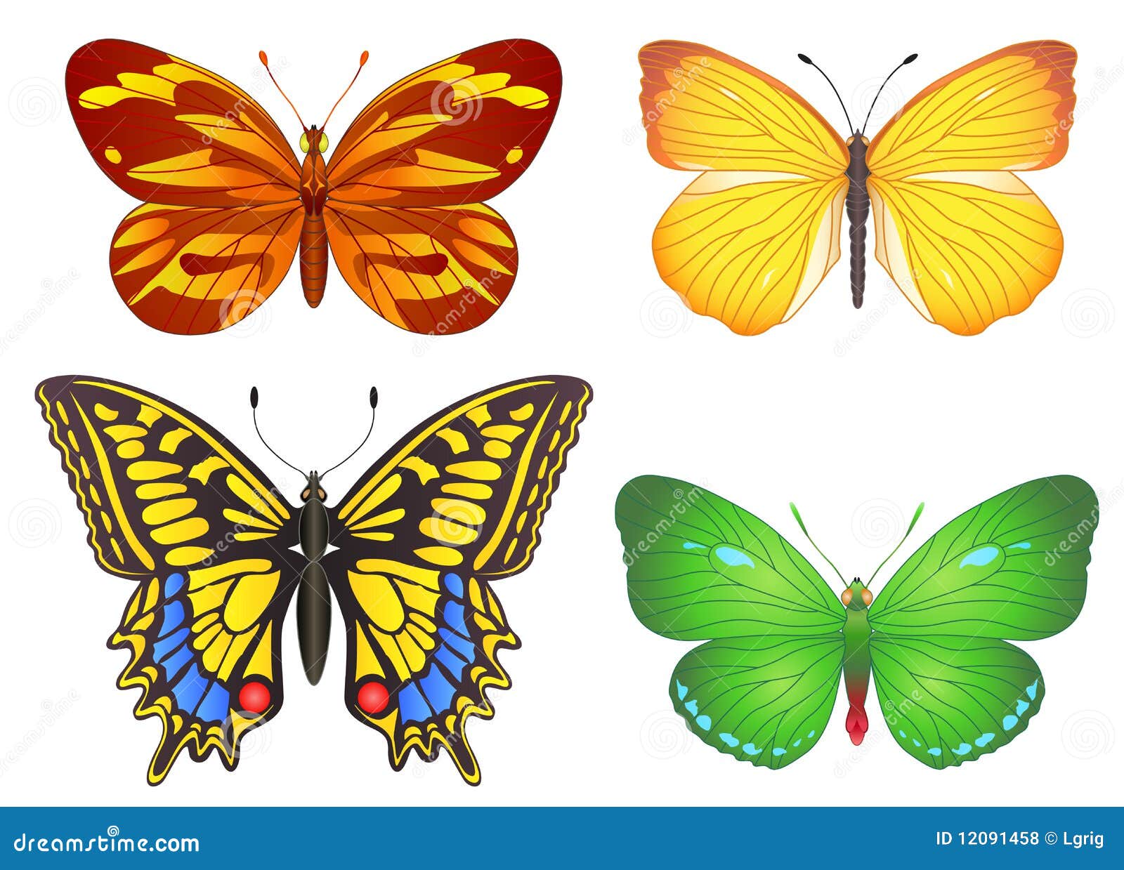 Set of butterflies stock vector. Illustration of yellow - 12091458