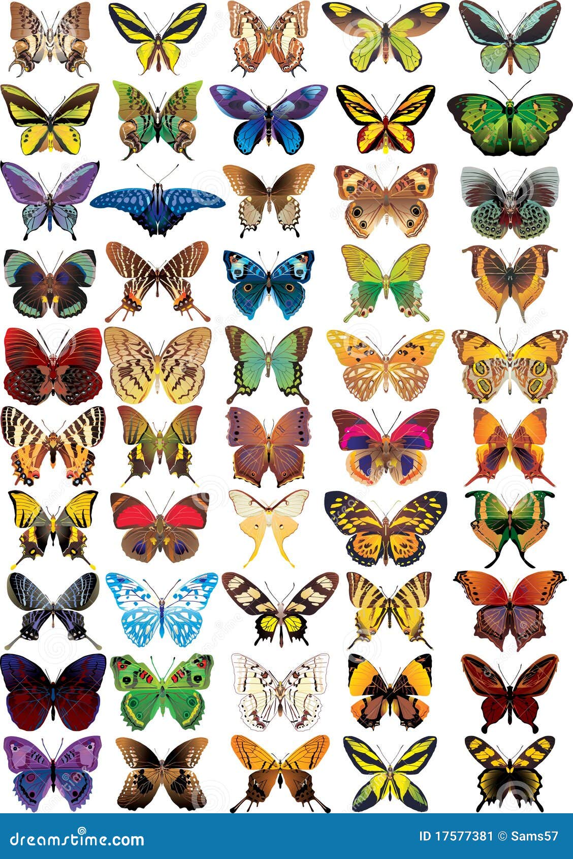 Set of butterflies stock vector. Illustration of abstract - 17577381