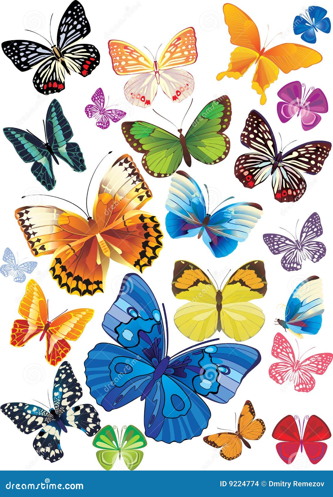 Set of butterflies stock vector. Illustration of orange - 9224774