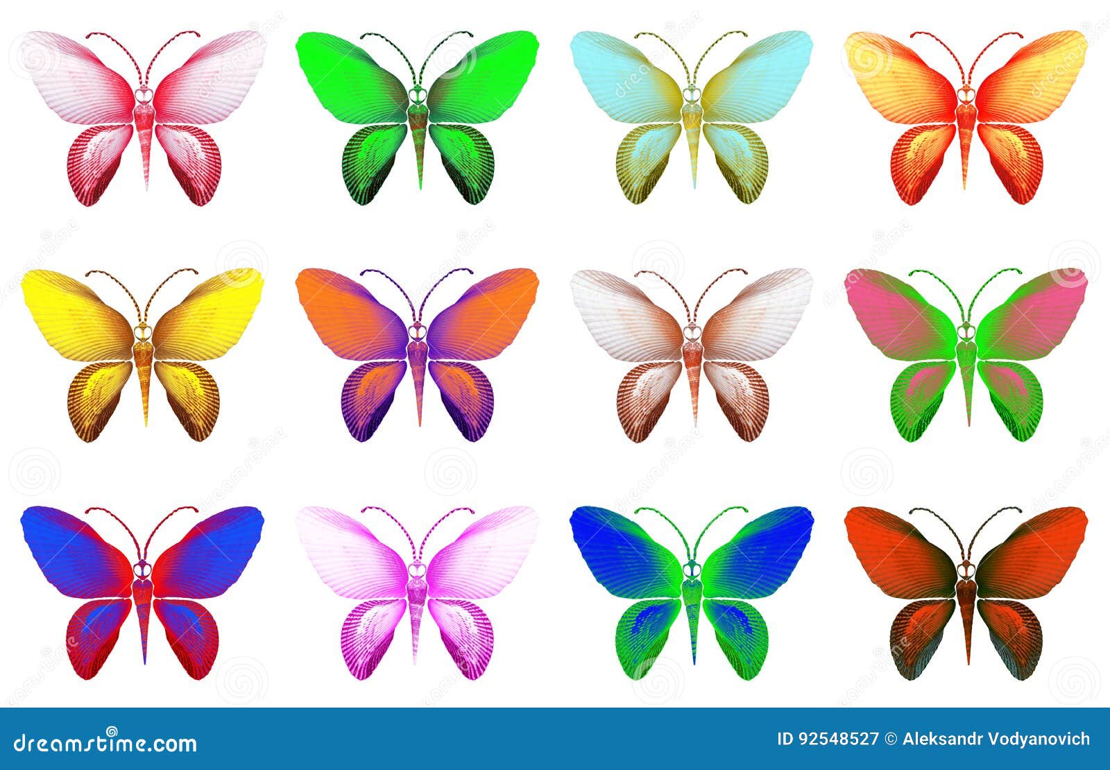 Set of Butterflies of Different Colors Isolated on White Background ...