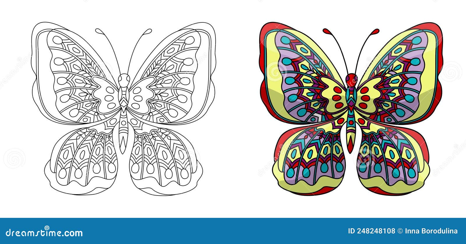 Set Butterfly Coloring Page In Zentangle Style Stock Vector