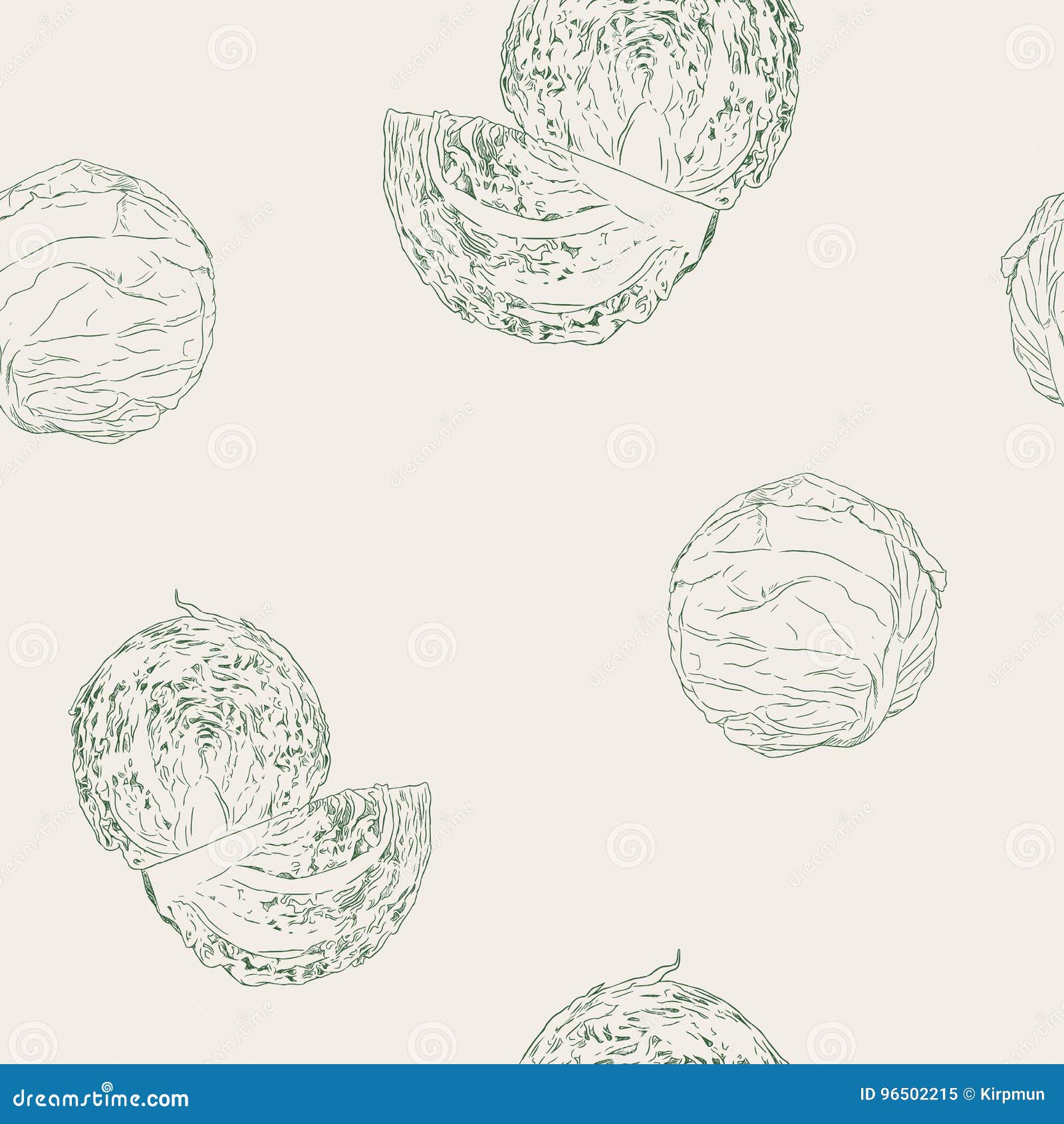 Set of Cabbage, Hand Drawn Sketch Line Art Vector. Stock Vector ...