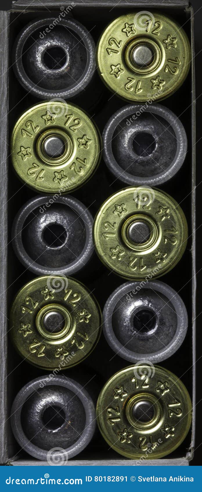 Set of 12 Caliber Shotgun Bullet Shells in Cardboard Box. . Stock Image ...