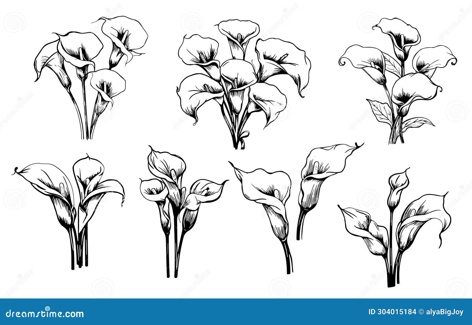 Set of calla lilies stock illustration. Illustration of nature - 304015184