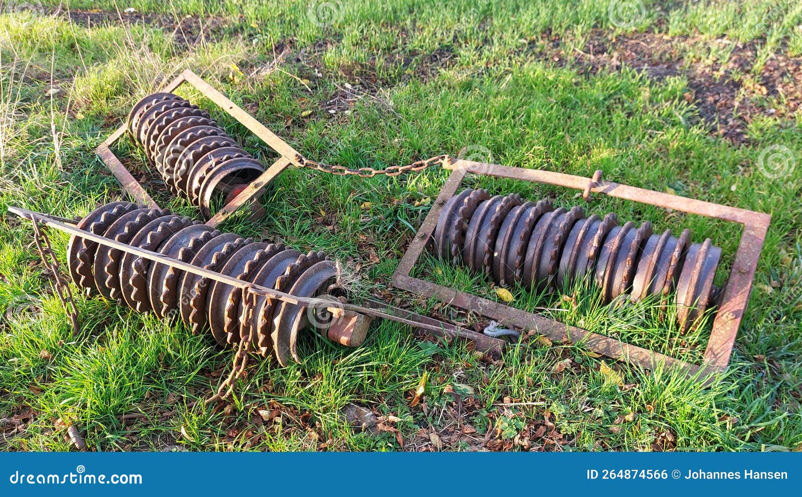 Set of Cambridge Rollers or Cultipackers, Typical Agricultural Devices ...