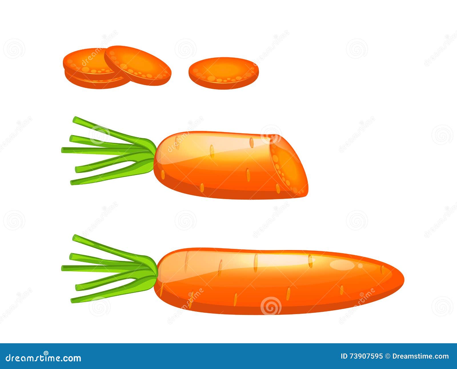 Set Carrot Infographics Elements with Slices Stock Vector ...