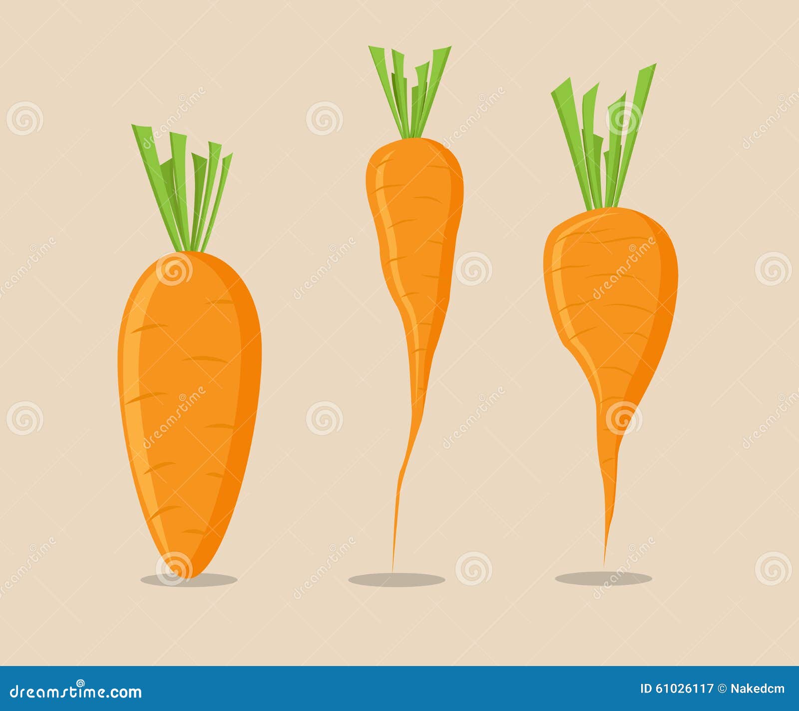 Set of carrot vector stock vector. Illustration of farm - 61026117