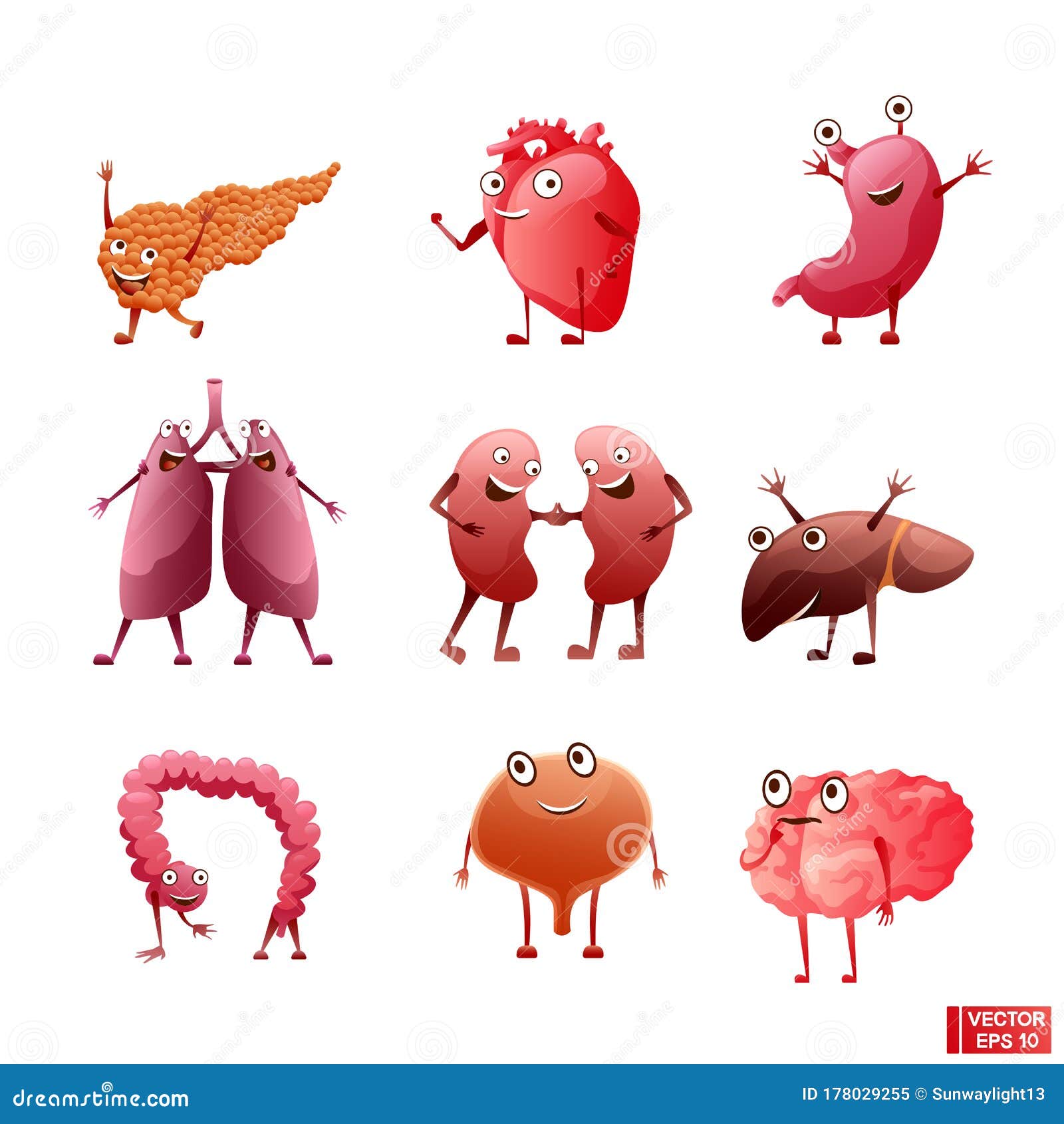 Set of Cartoon Characters Organs Stock Illustration - Illustration of ...