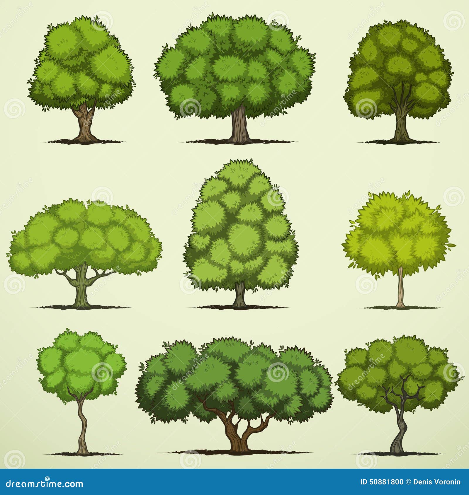 Set of Cartoon Deciduous Trees Stock Vector - Illustration of plant ...