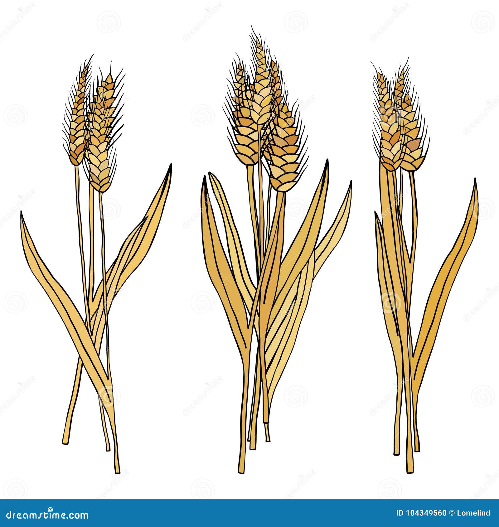 Set of Cartoon Doodle Wheat Sheaves Stock Illustration - Illustration ...