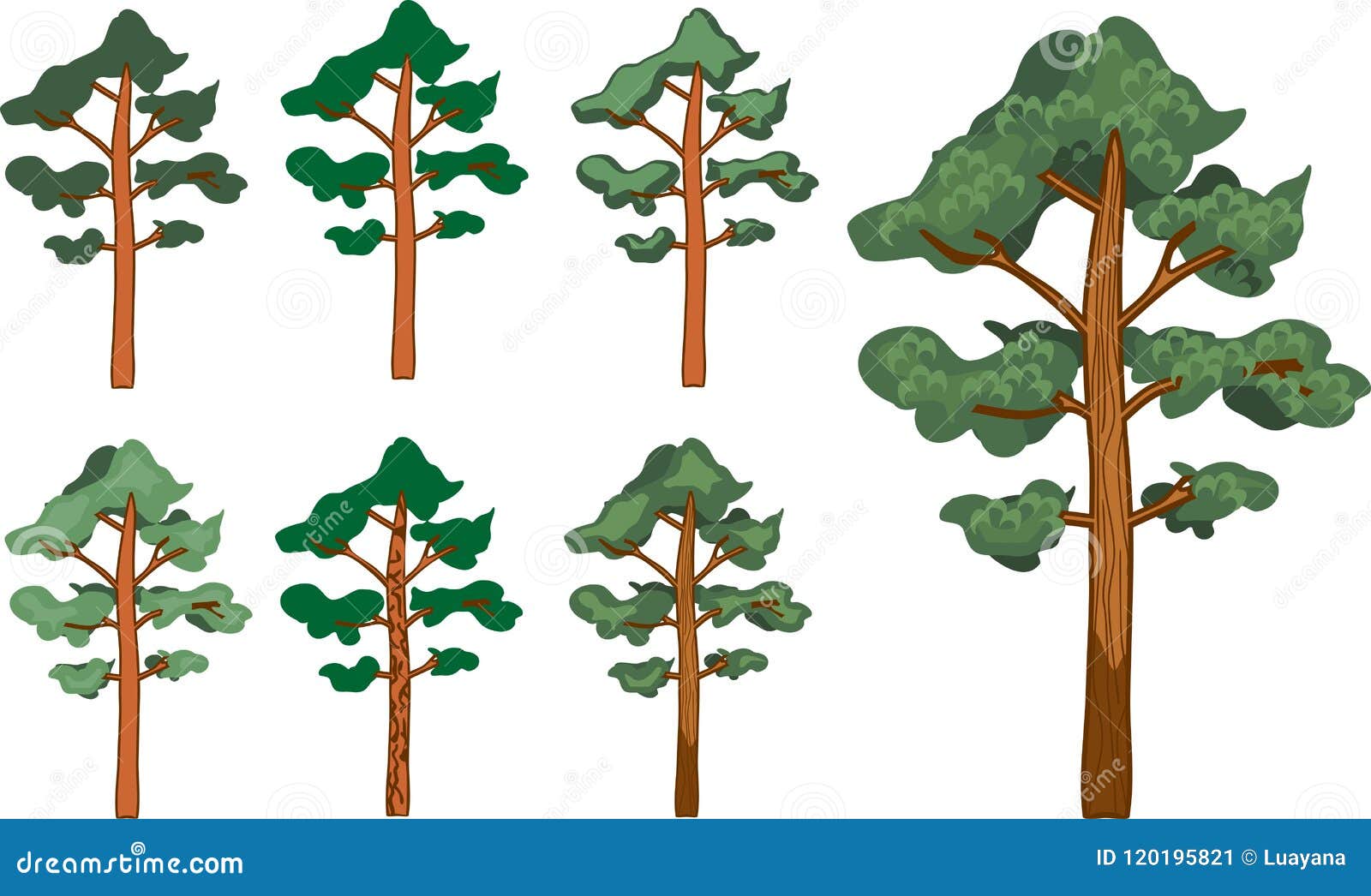 Set Of Cartoon Pine Trees | CartoonDealer.com #120195821
