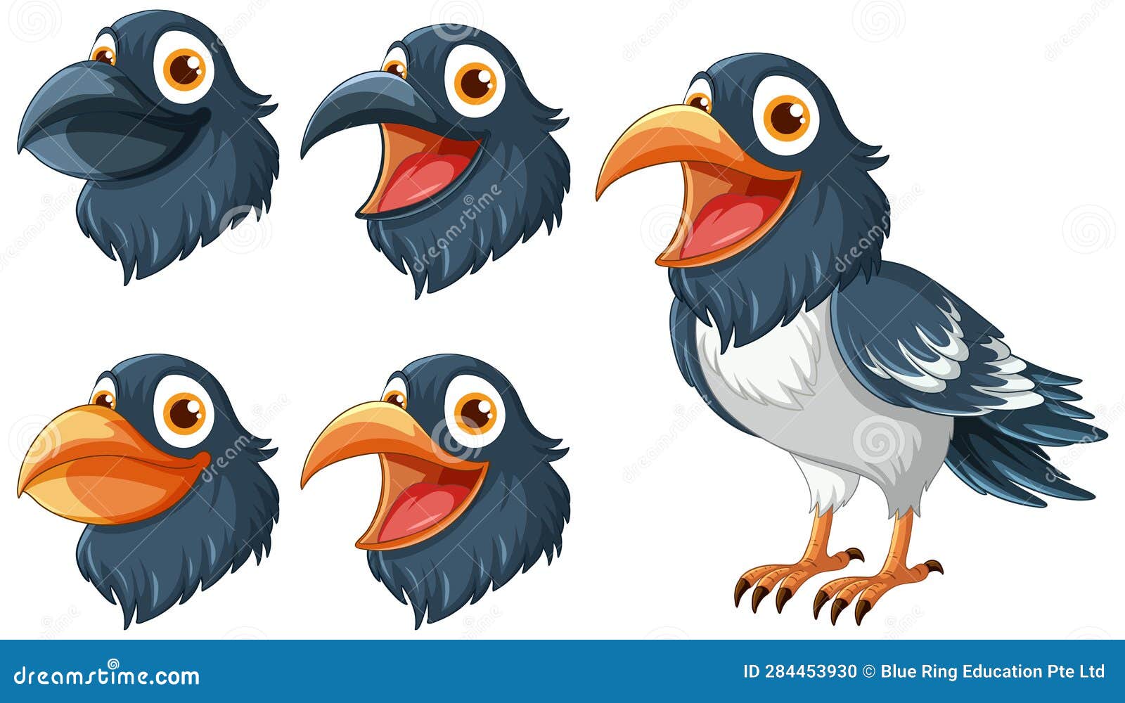 A Set of Cartoon Ravens Isolated on a White Background, Illustrated in ...