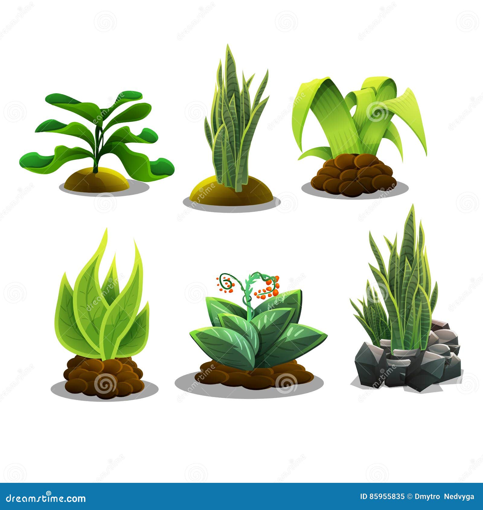 Set of Cartoon Wild Plants. Vector Illustration. Stock Vector ...