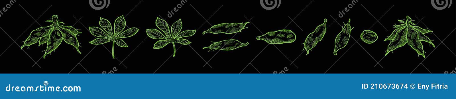 Set of Cassava Cartoon Icon Design Template with Various Models. Vector ...