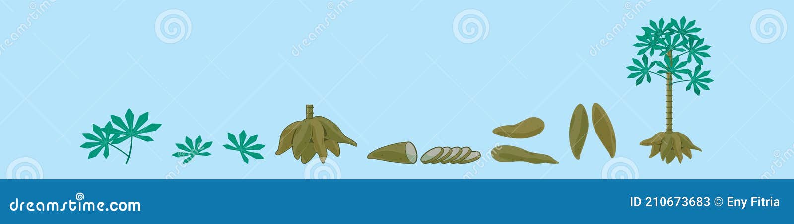 Set Of Cassava Cartoon Icon Design Template With Various Models. Vector ...