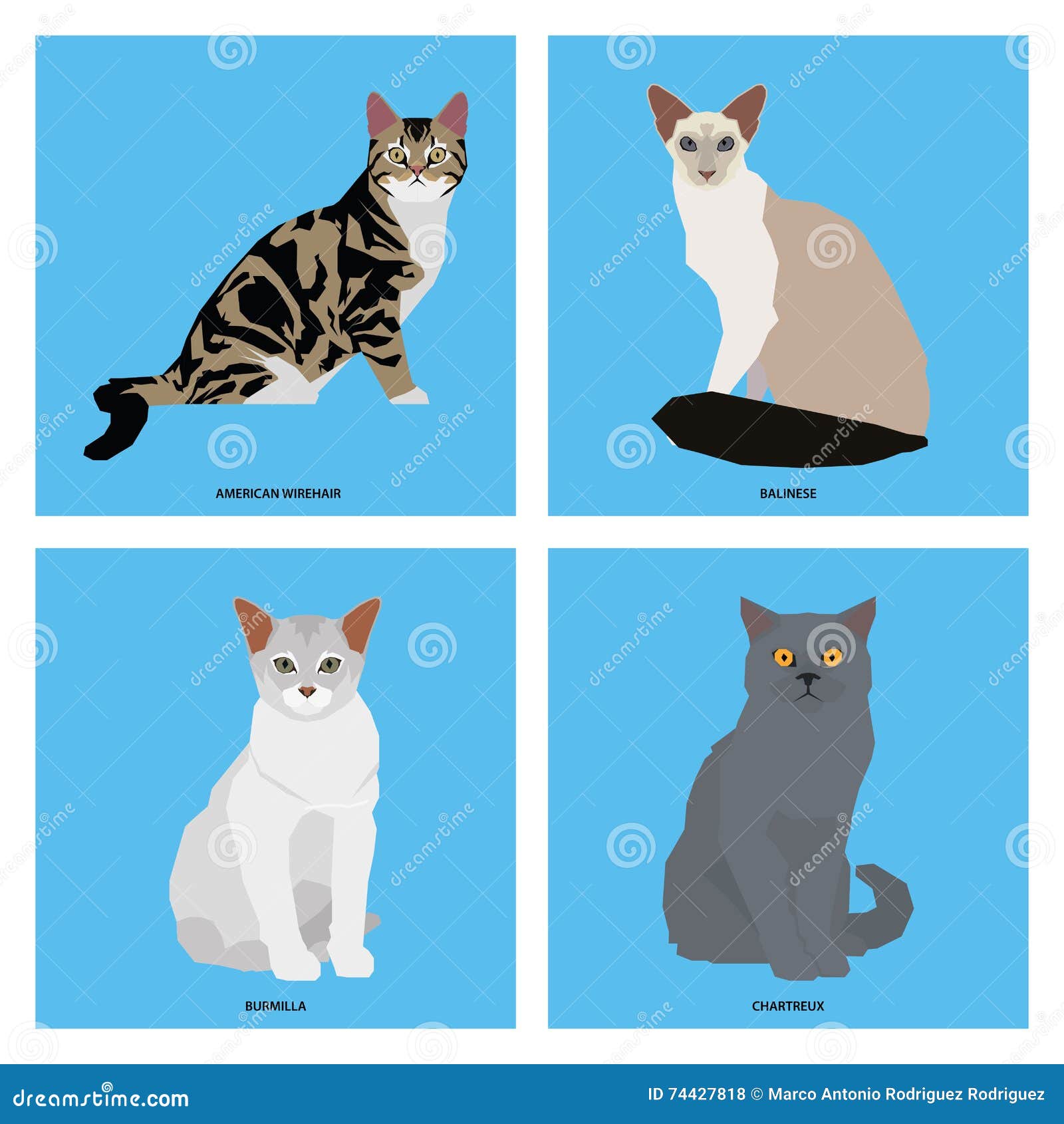Set of Cat Breeds, Illustration Stock Illustration - Illustration of ...