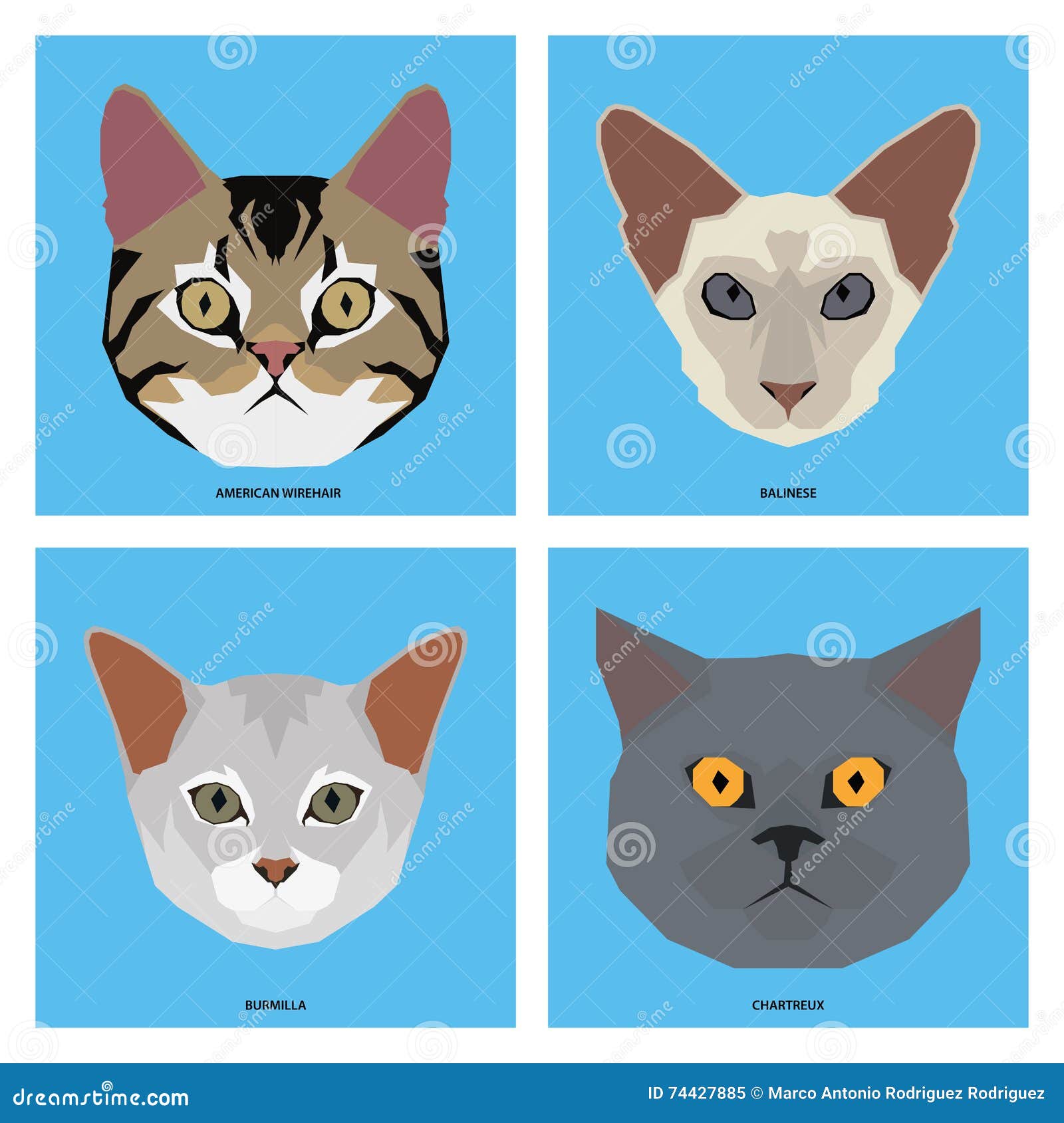 Set of Cat Breeds, Illustration Stock Illustration - Illustration of ...