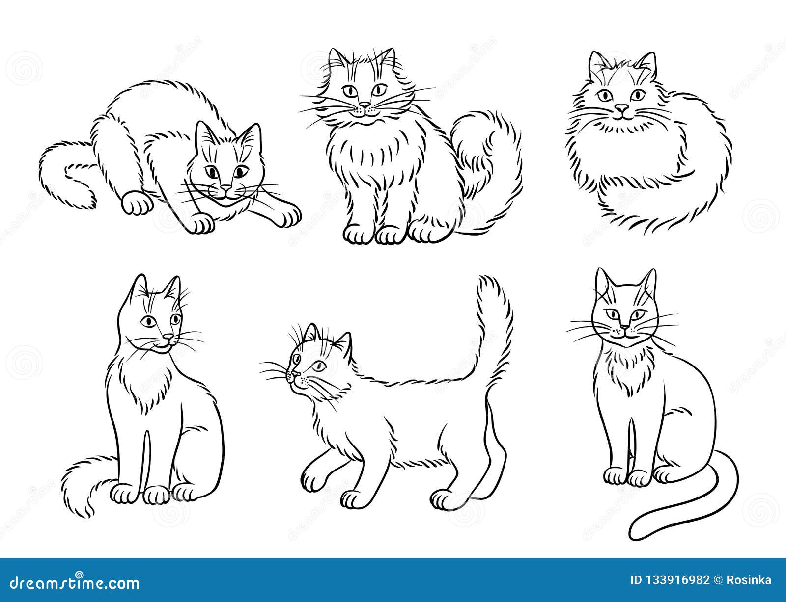 Set of 6 Cats in Contours - Vector Illustration Stock Vector ...