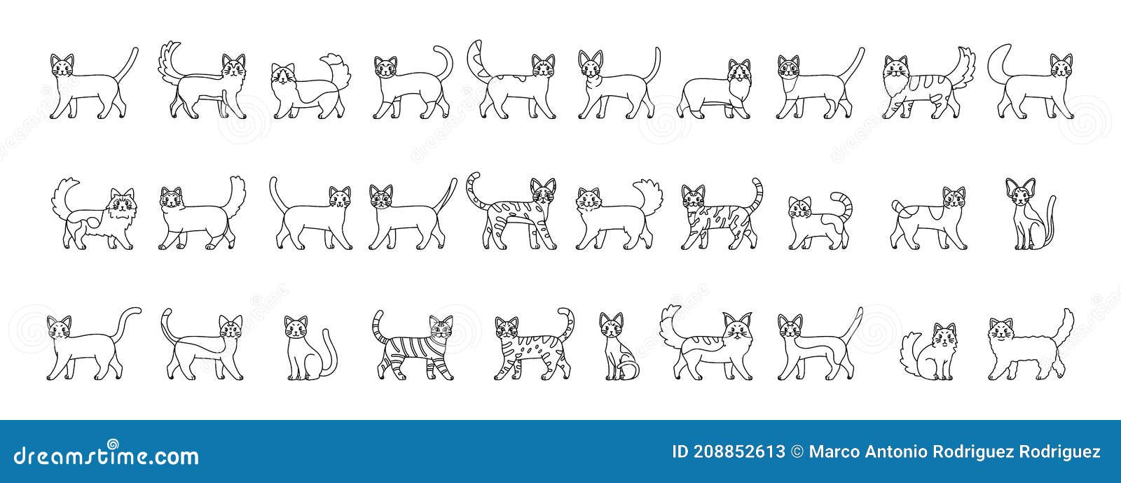 Set of cats outlines stock vector. Illustration of vector - 208852613