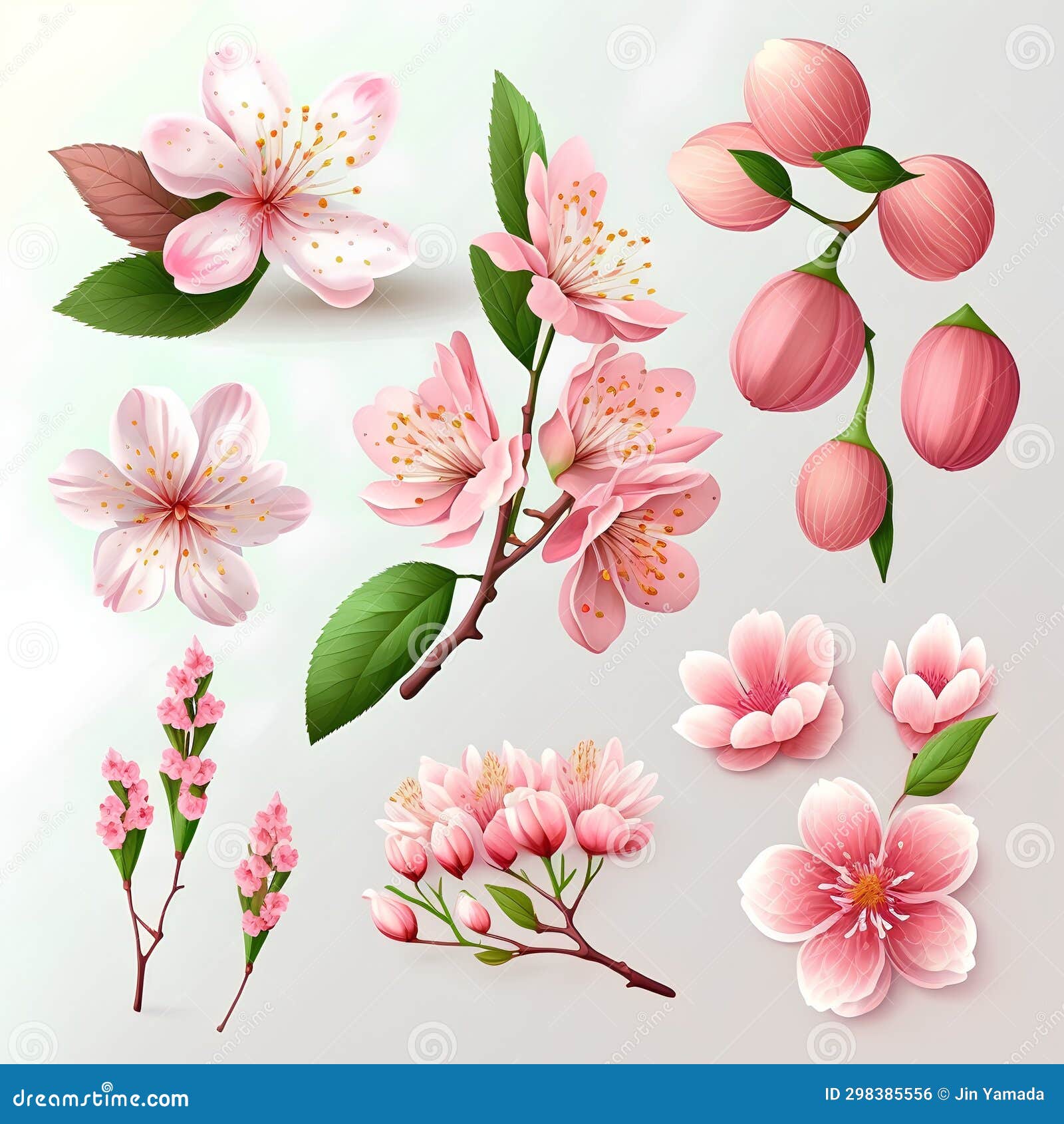 Set of Cherry Blossom and Sakura Flowers. Vector Illustration Stock ...