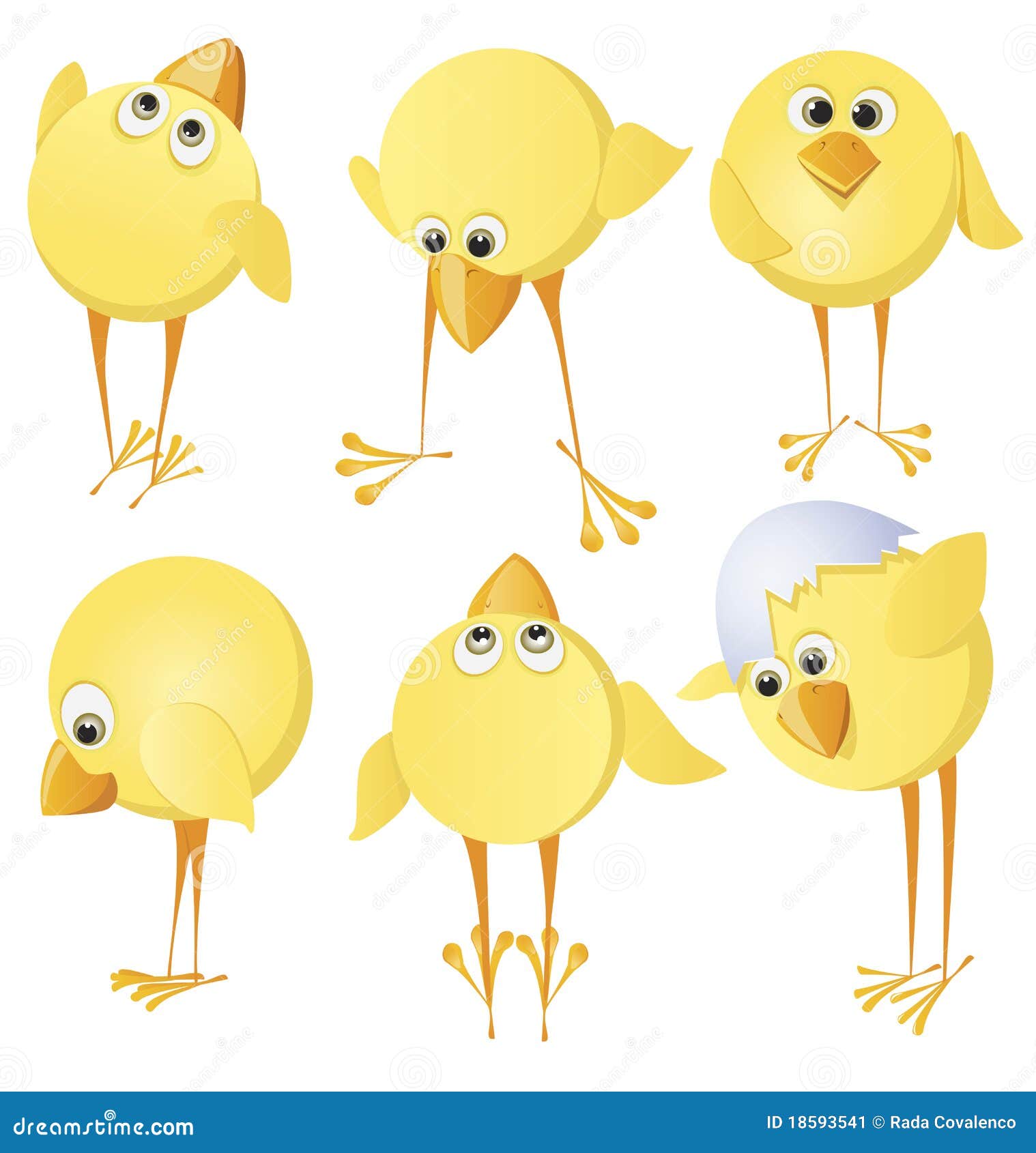 Set of chicks stock vector. Illustration of wing, vector - 18593541