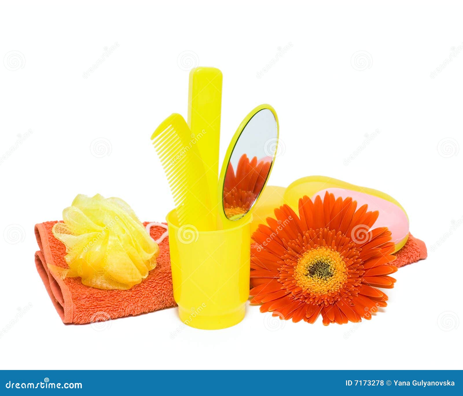 Set for Cleaning Human Body Stock Photo - Image of health, plant: 7173278