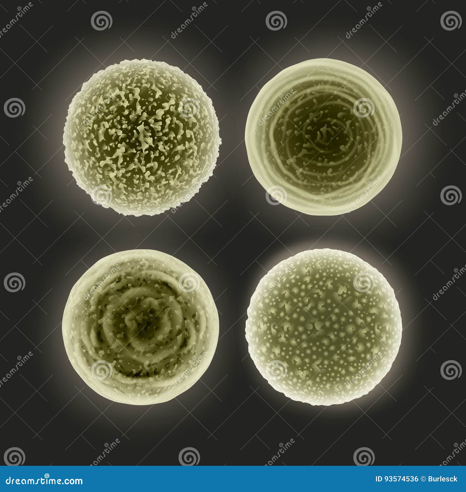 Set of cocci bacteria stock vector. Illustration of organism - 93574536