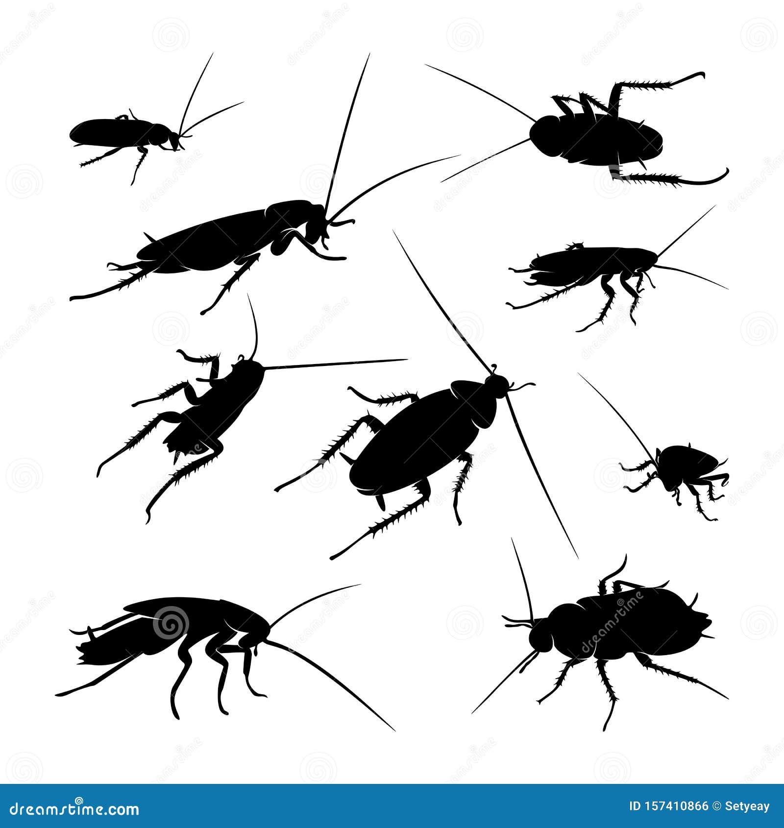 Set of Cockroach Logo Design Vector Illustration. Cockroach Design ...