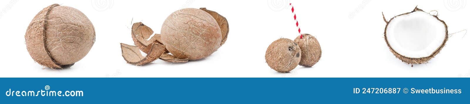 Set of Coconut Isolated on White Stock Image - Image of healthy ...